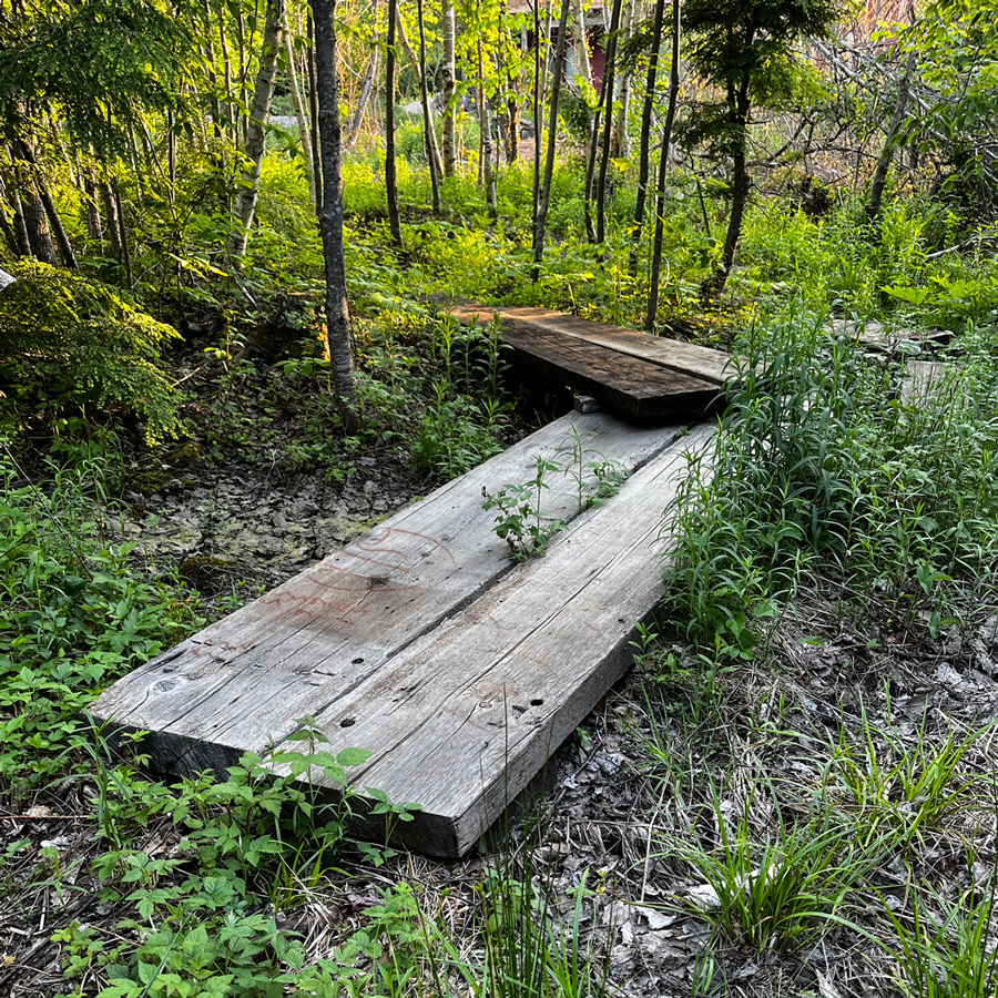 Salvaged As-Is Hemlock Decking - Longleaf Lumber