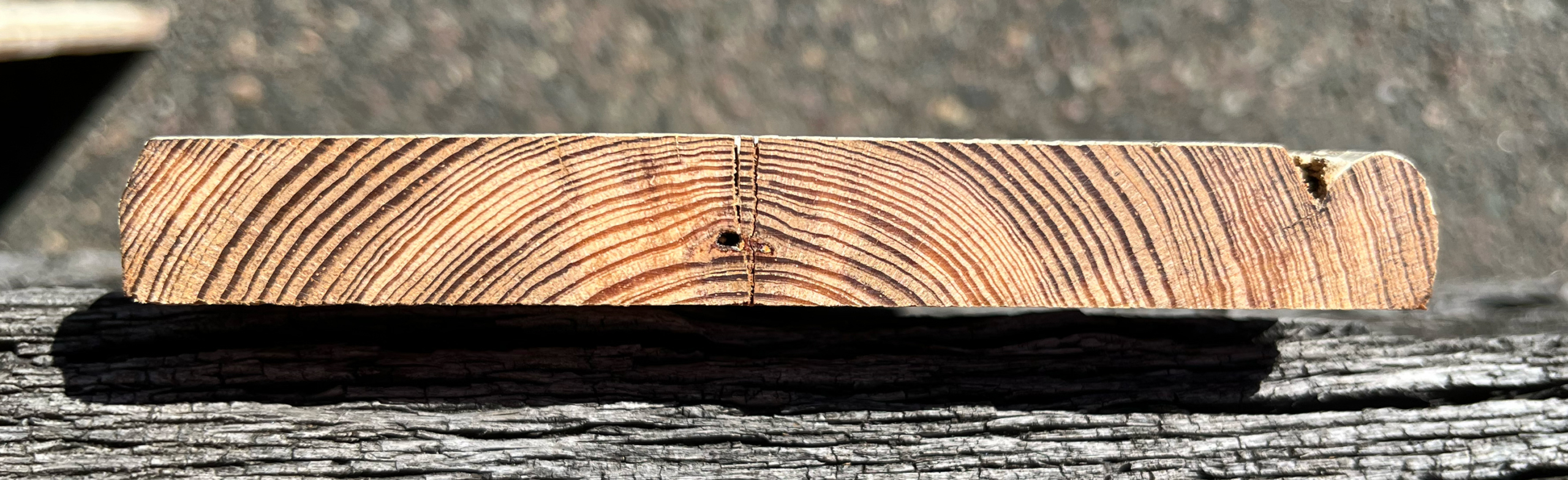 Original Beaded and Painted Heart Pine Paneling - Longleaf Lumber