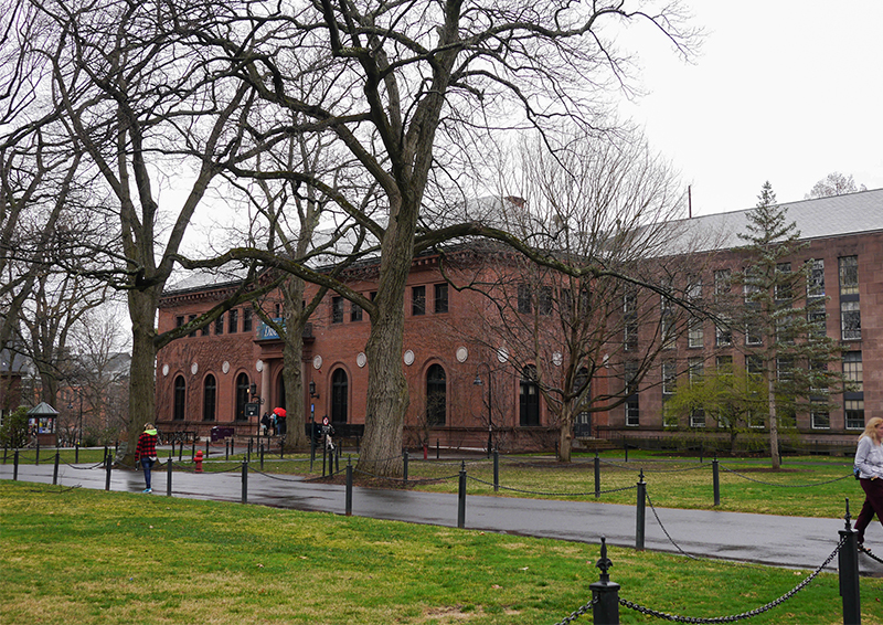 Longleaf Lumber - Neilsen Library Heart Pine